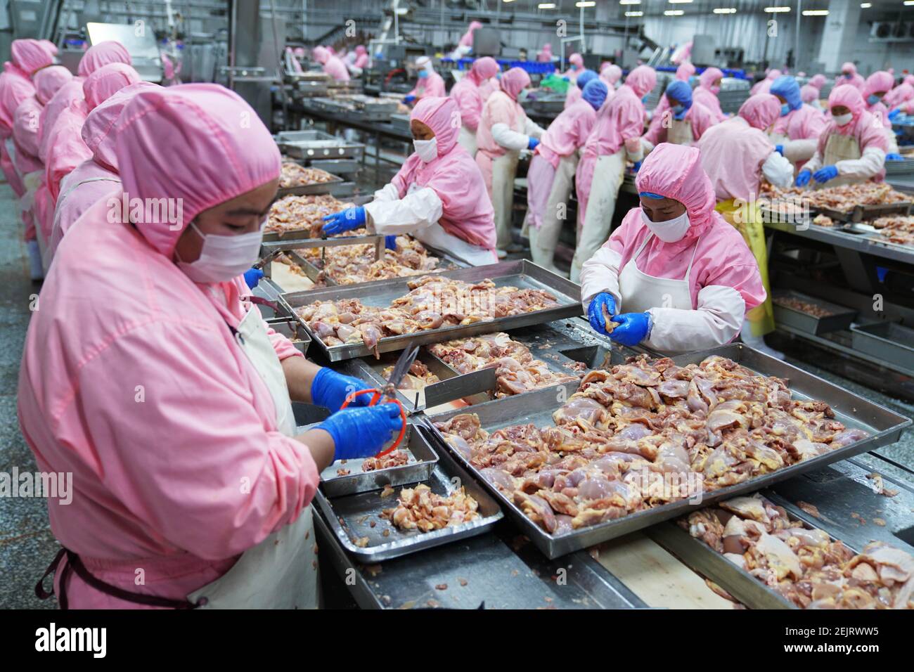 Chicken slaughterhouse usa hi-res stock photography and images - Alamy