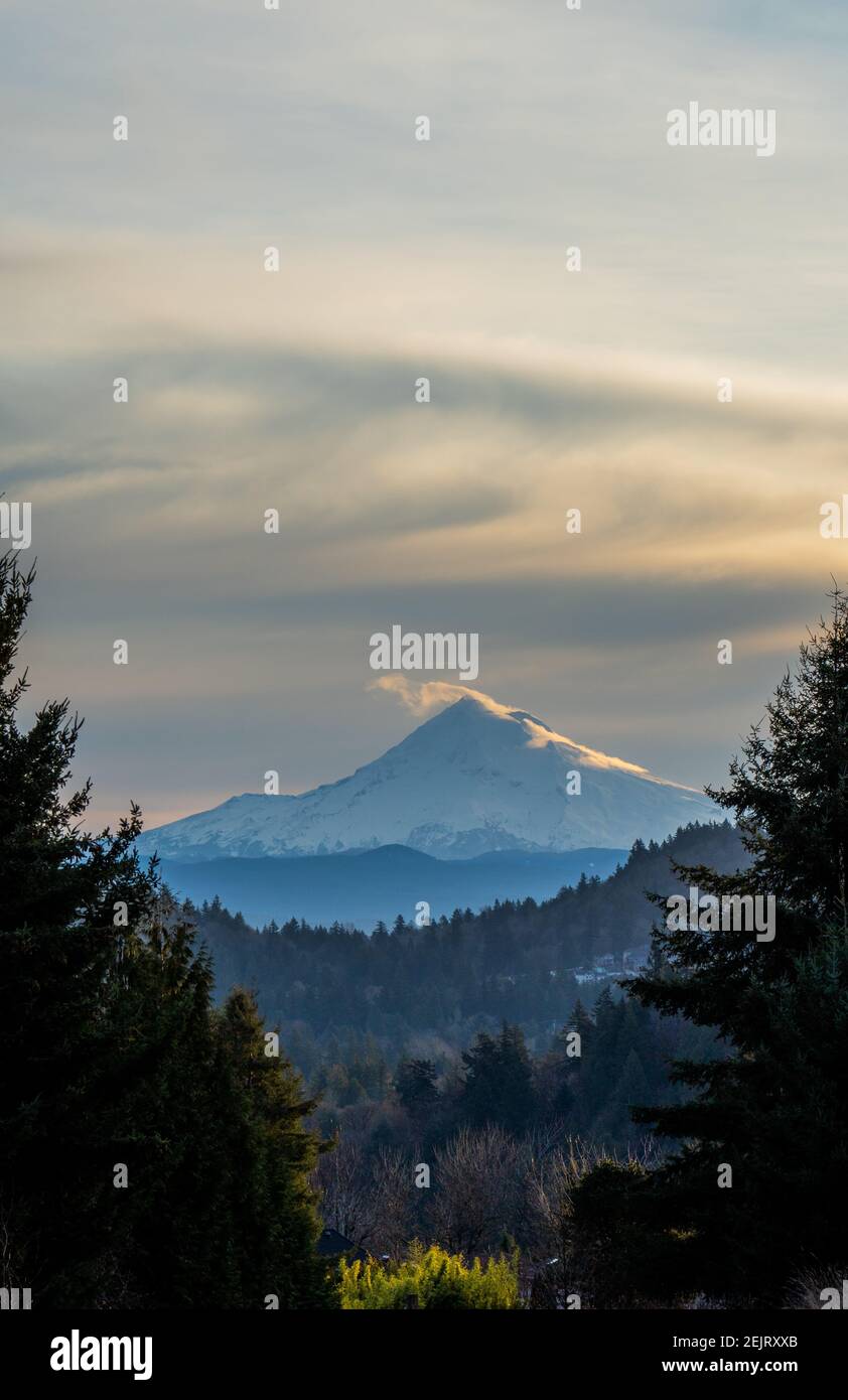 Mt. Hood Views on Powell Butte one cold morning Stock Photo - Alamy