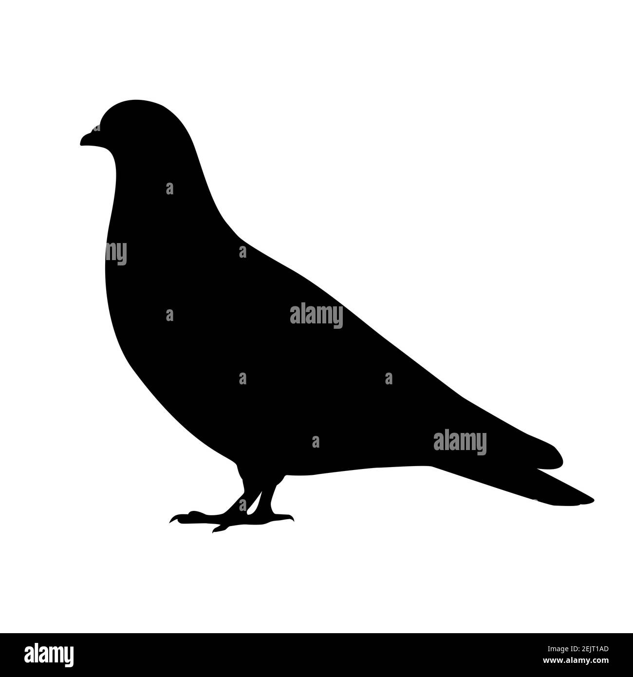 Silhouette of a pigeon. Vector illustration black icon logo standing ...
