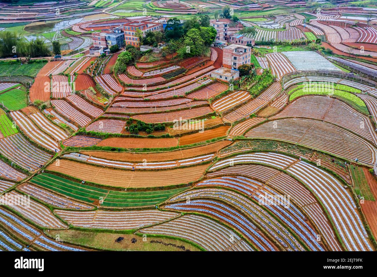 NANNING, CHINA - MARCH 8, 2020 - Aerial photos of paddy fields during ...