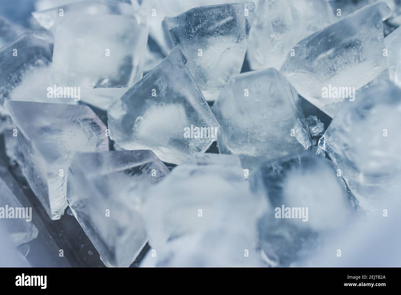 close-up of ice cubes in freezer tray with cold blue tones and ...