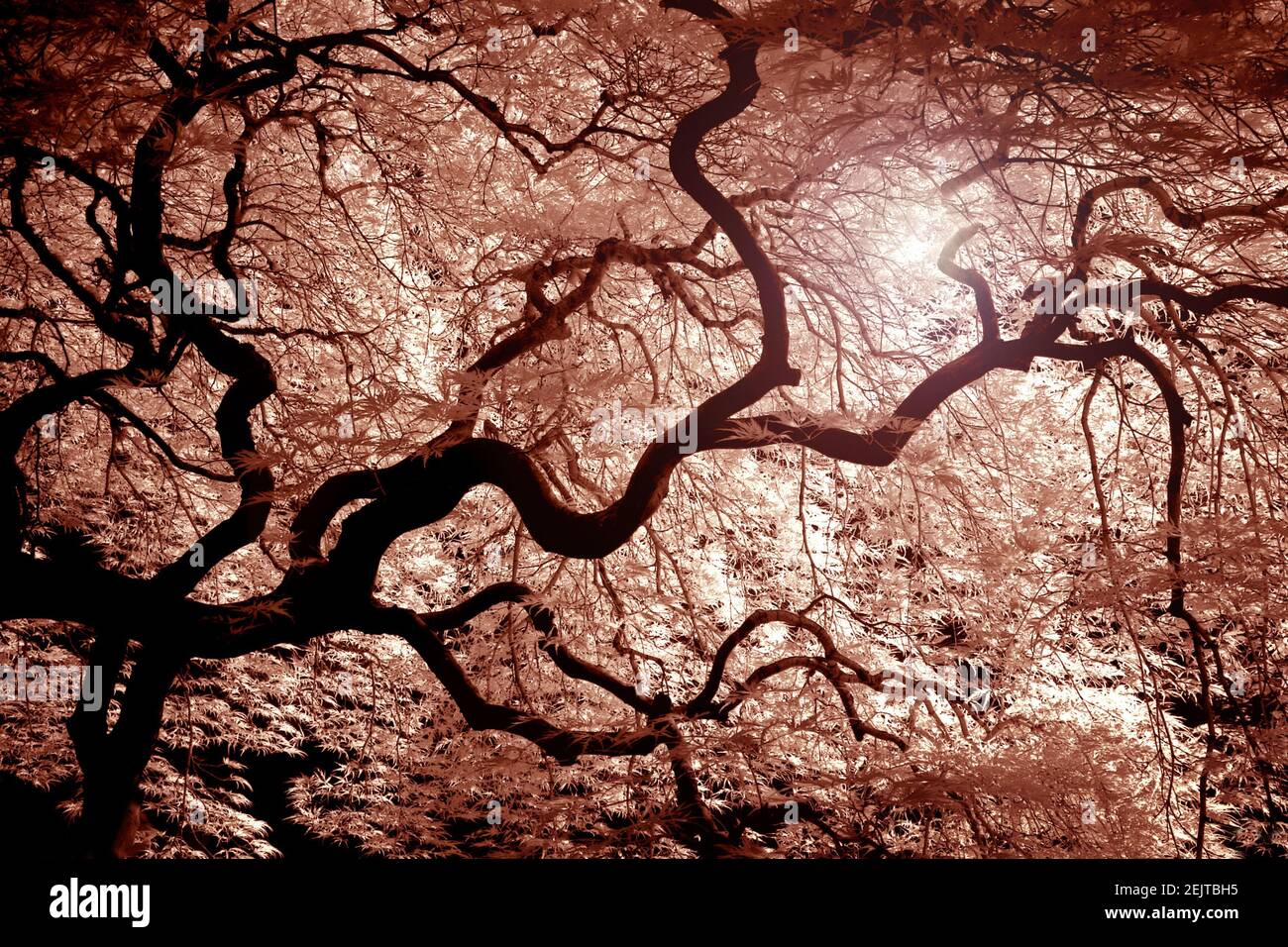 Sprawling limbs hi-res stock photography and images - Alamy