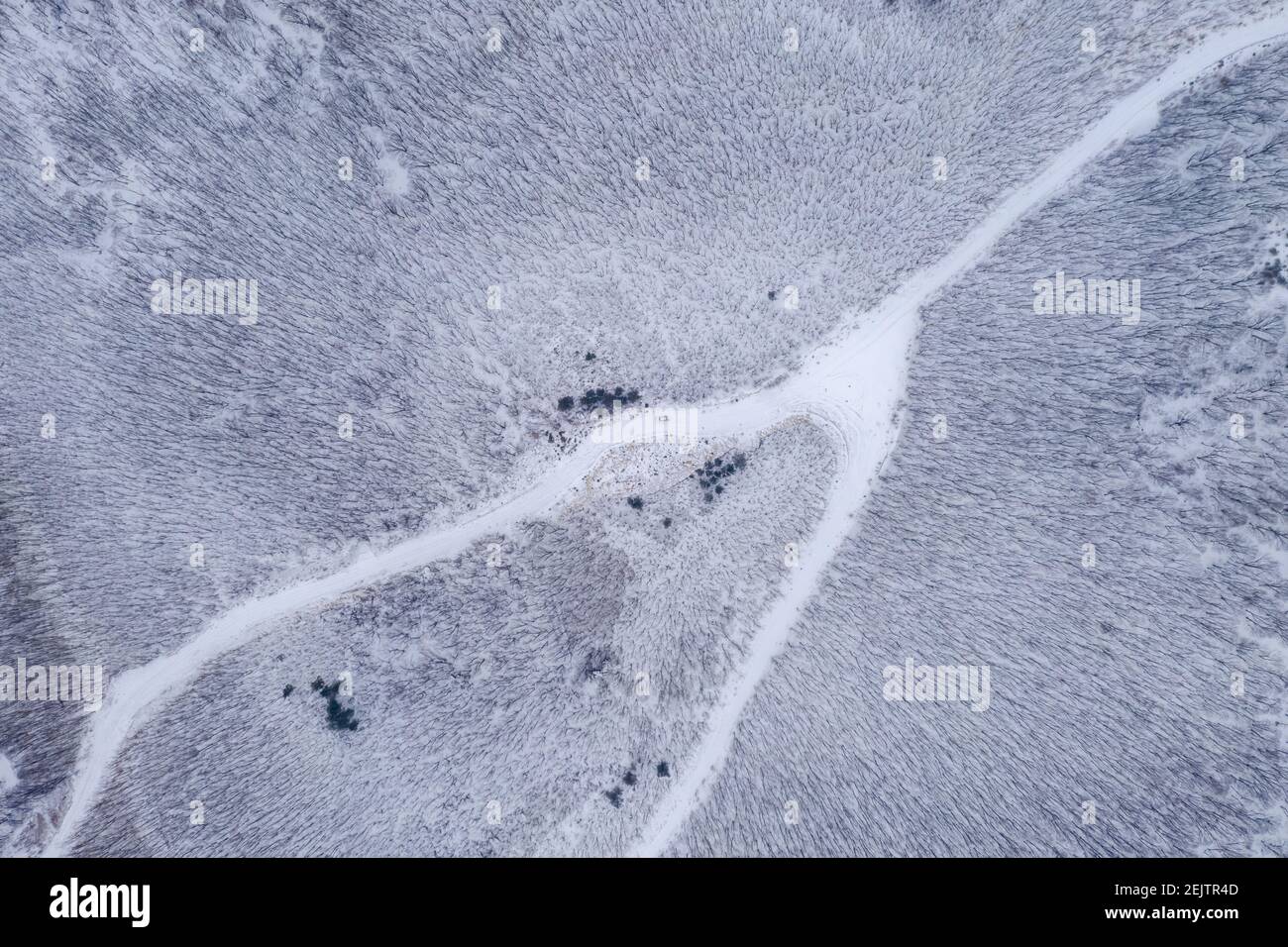 An aerial winter scenery of trees covered with rime around Xingkai Lake ...