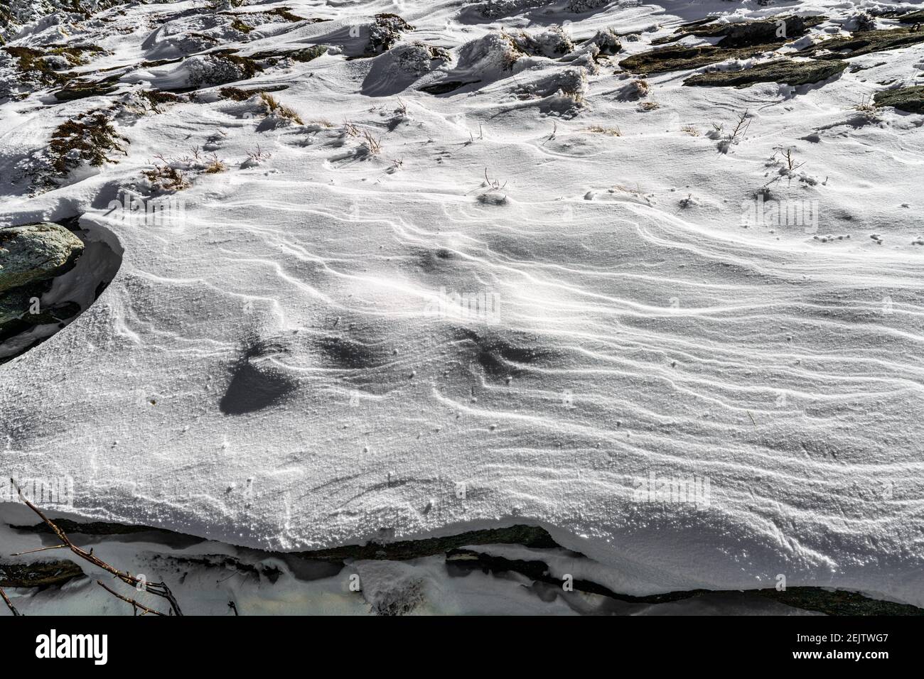 The snow forms wind blown ridges on the summit of Grandfather Mountain ...