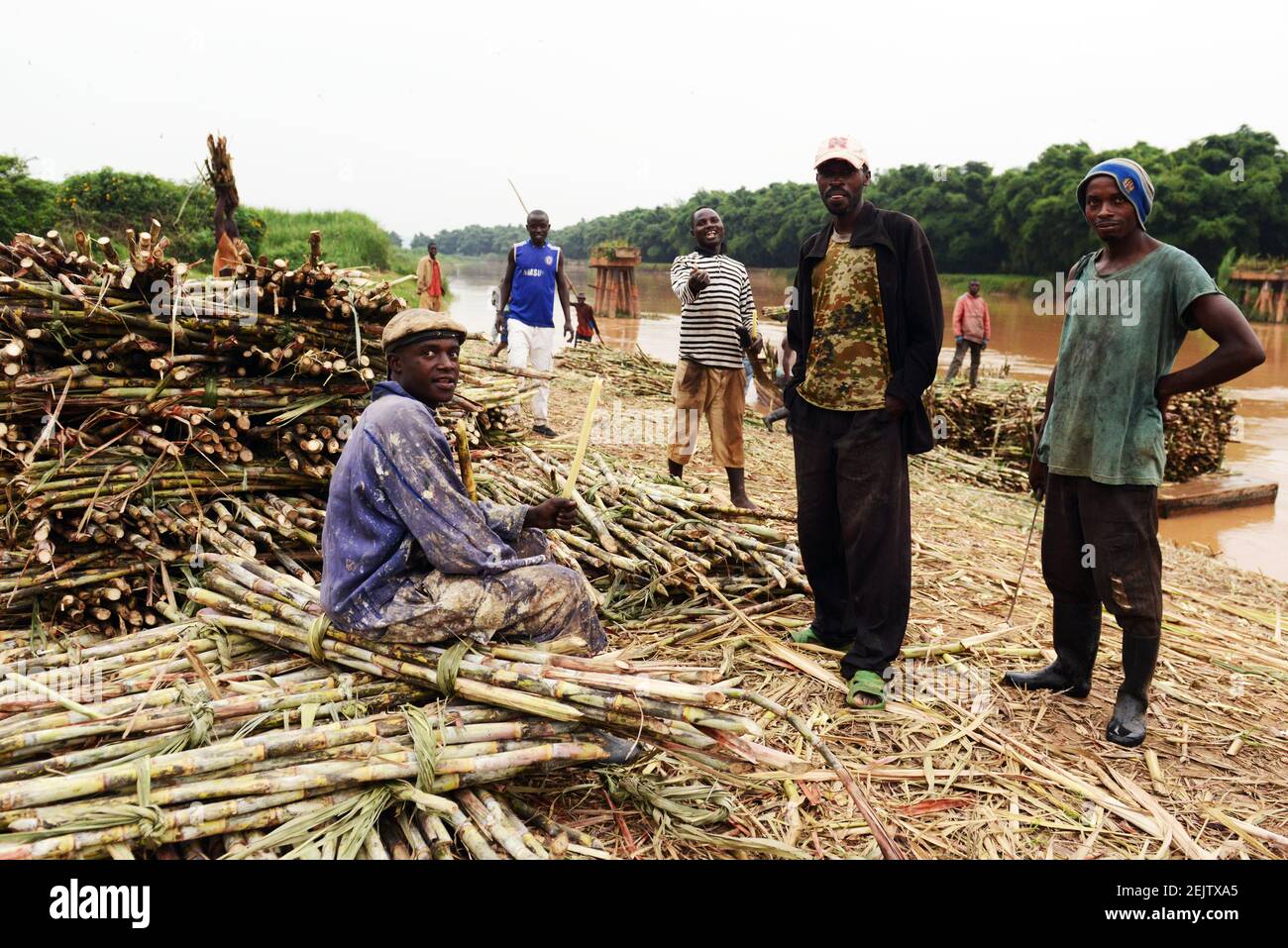 Rwandans sugarcane workers in Bugesera District, Rwanda Stock Photo - Alamy