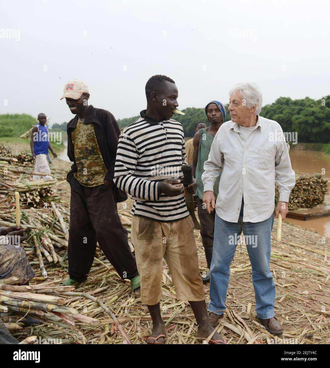 Transporting sugarcane hi-res stock photography and images - Alamy