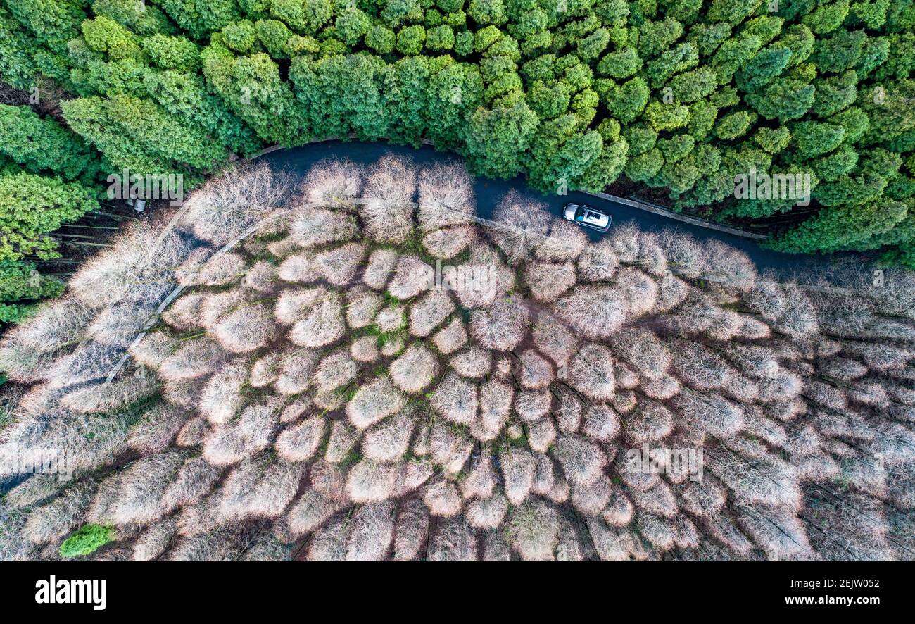 Chongqing,CHINA-Shanwangping, located in Shanwangping town, Nanchuan ...