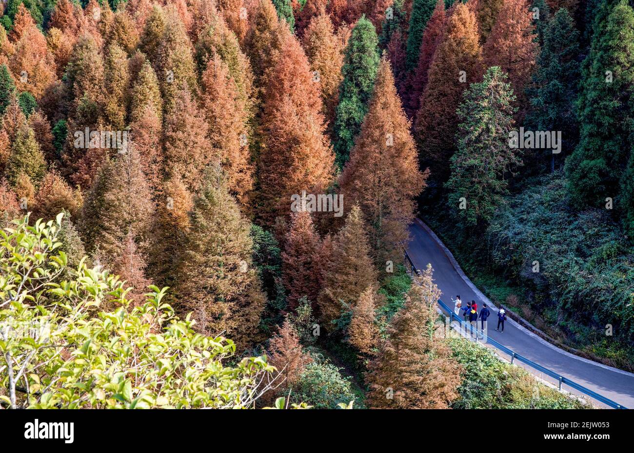 Chongqing,CHINA-Shanwangping, located in Shanwangping town, Nanchuan ...