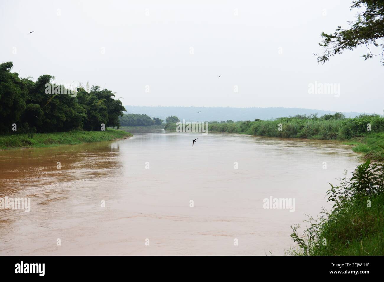 The Nyabarongo in Rwanda Stock Photo - Alamy
