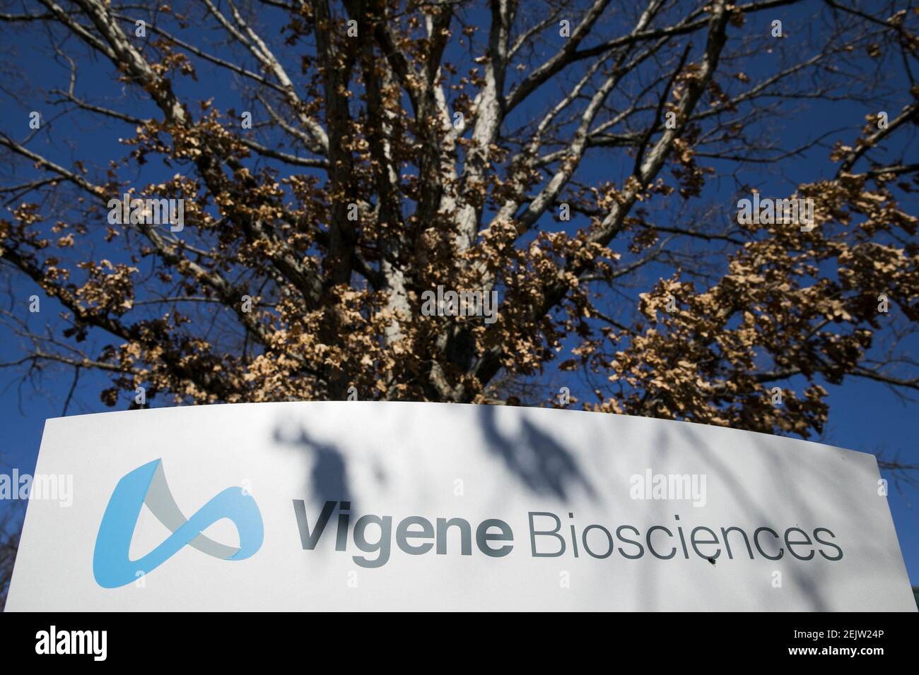 A logo sign outside of the headquarters of Vigene Biosciences in ...