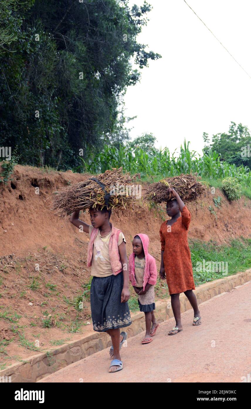 Daily life in rural Rwanda Stock Photo - Alamy