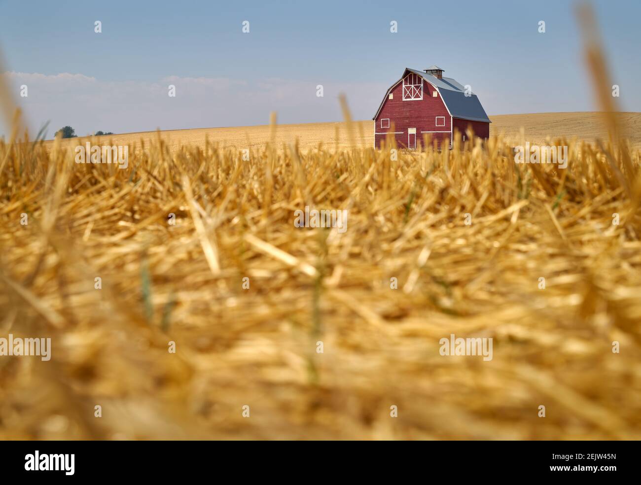 Wheat Stubble and Red Barn. A faded, red barn on a hill in the Palouse ...