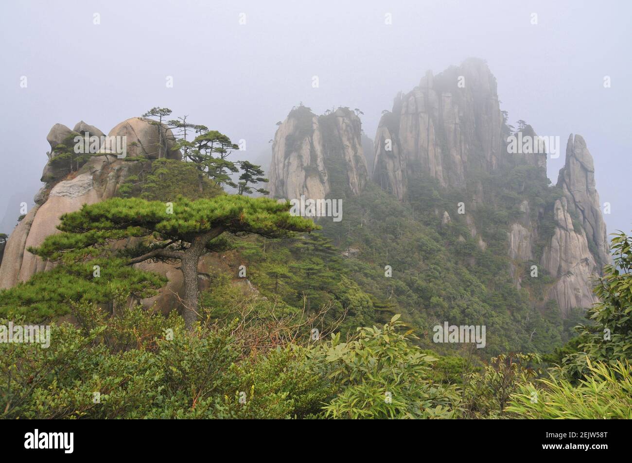 Jiangxi ,CHINA-Sanqing mountain is located at the junction of yushan ...
