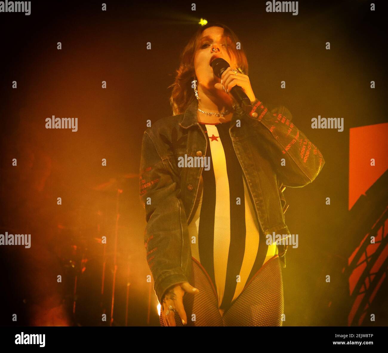 Swedish singer and songwriter, Ebba Tove Elsa Nilsson professionally ...