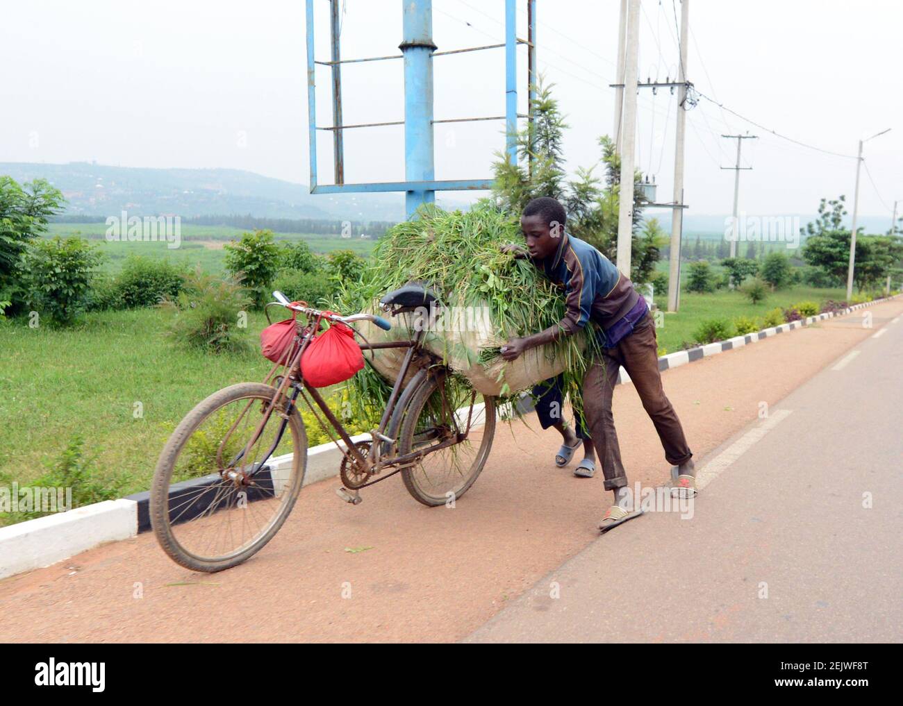 Farmers transporting produce on their bicycle in rural Rwanda Stock ...