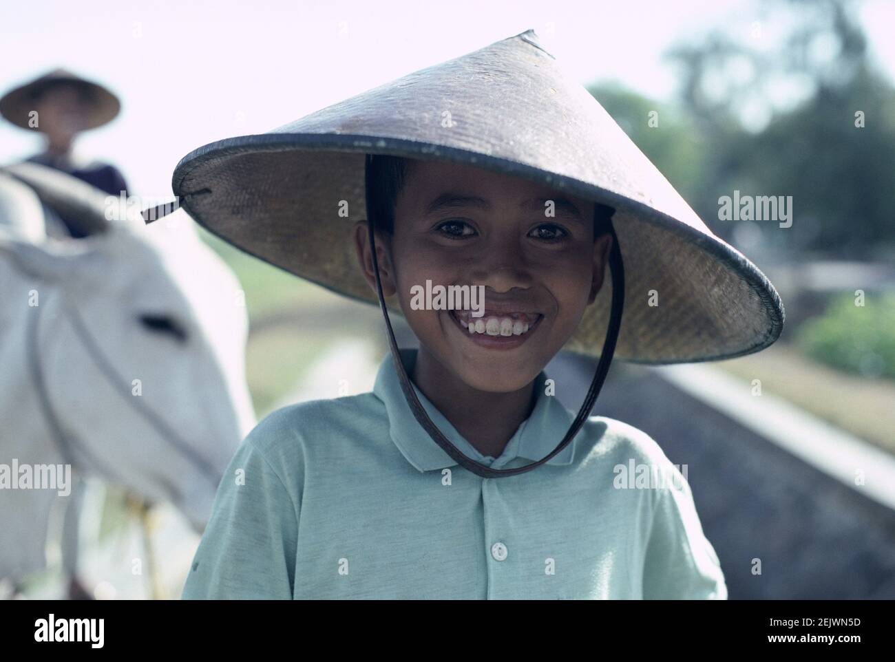 Asia,Indonesia, Java, portrait of a young smiling Indonesian Boy ...