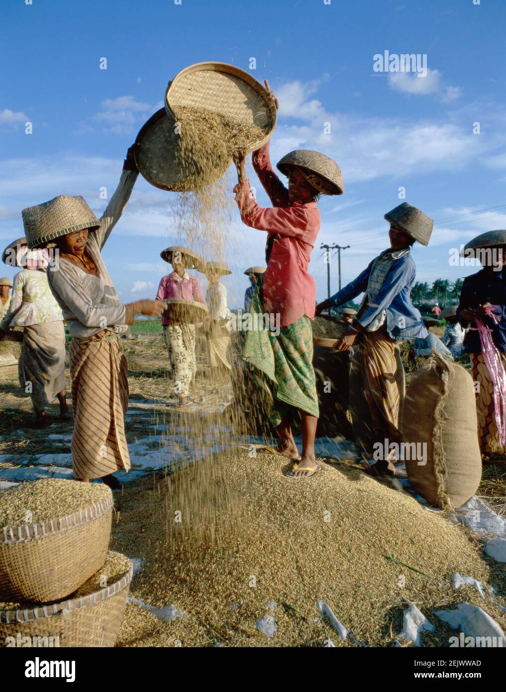 Asia,Indonesia, Bali,rural scene of a group of Indonesian women ...