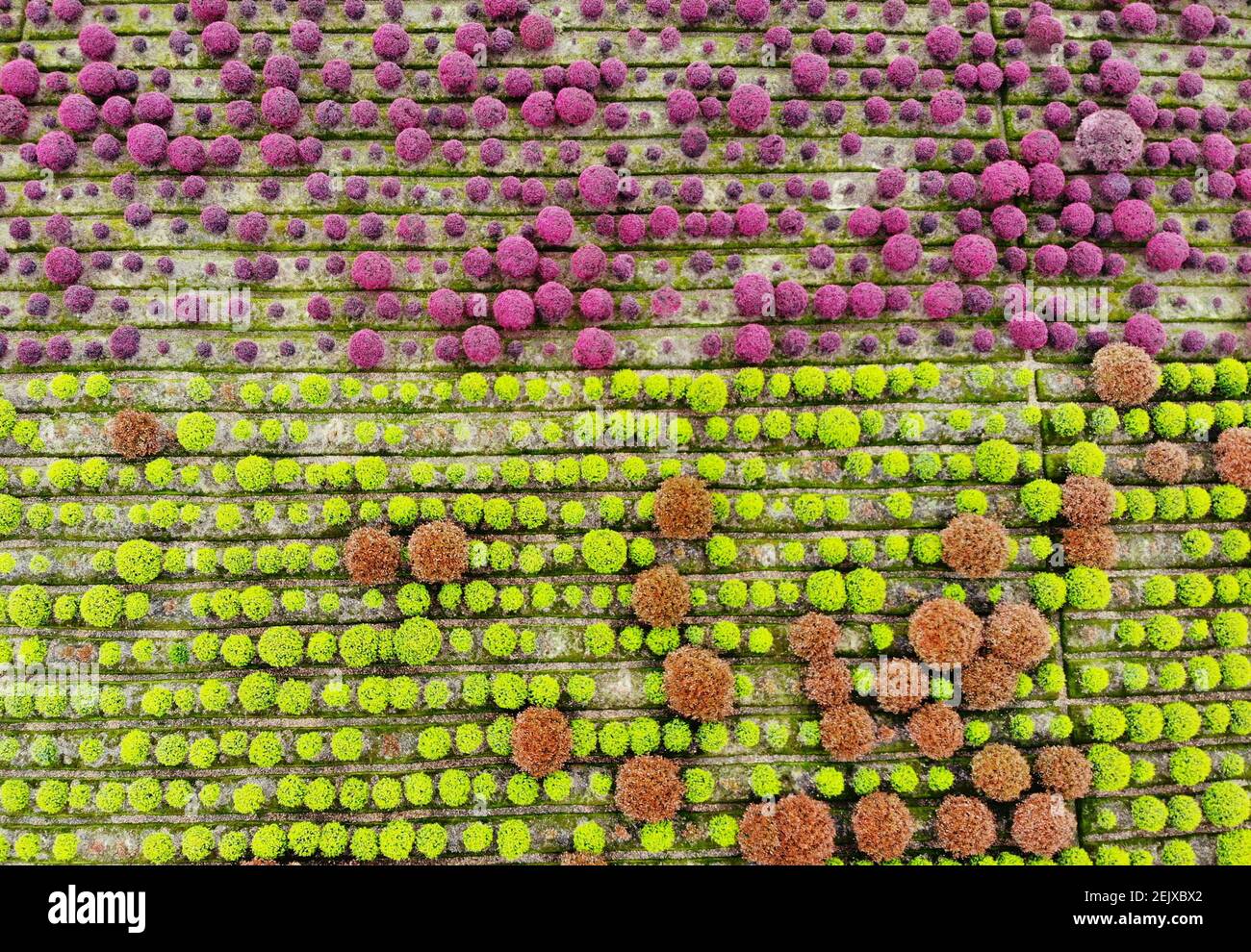 HANGZHOU, CHINA - MARCH 26, 2020 - A colorful color block composed of ...