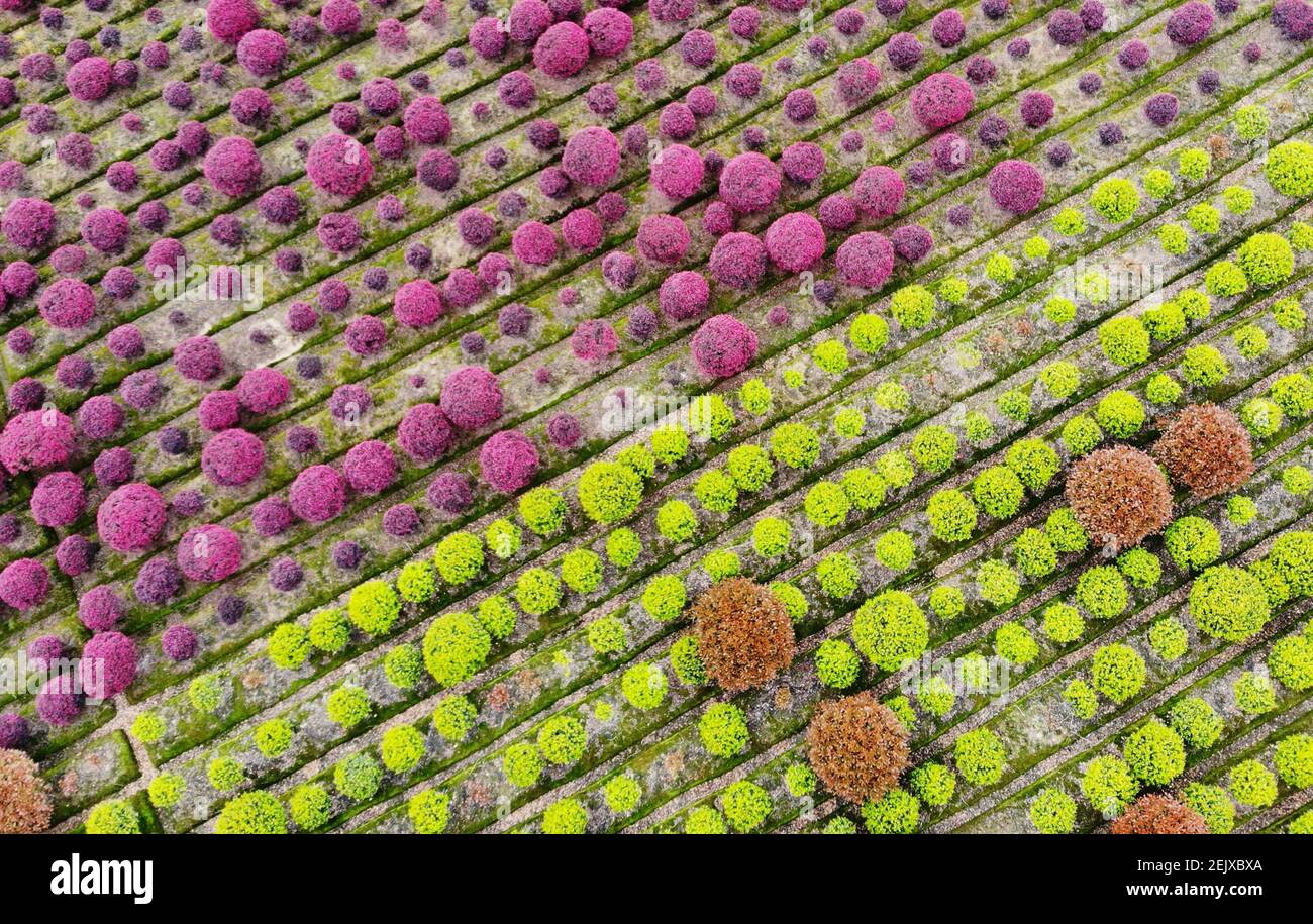 HANGZHOU, CHINA - MARCH 26, 2020 - A colorful color block composed of ...