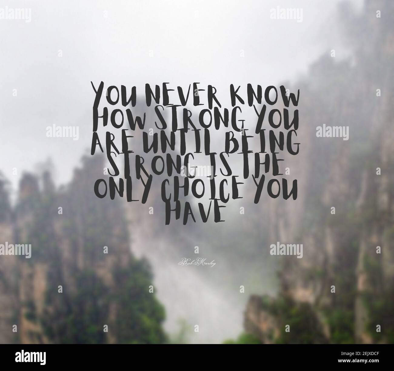 Quote,inspirational text. You never know how strong you are until being ...