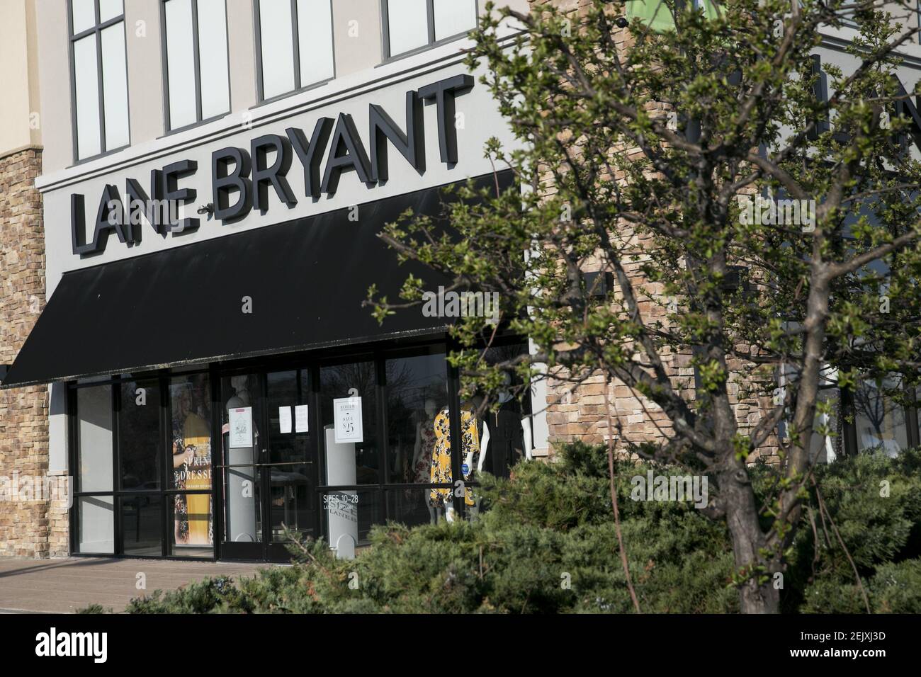 A logo sign outside of a Lane Bryant retail store location in Bel Air ...