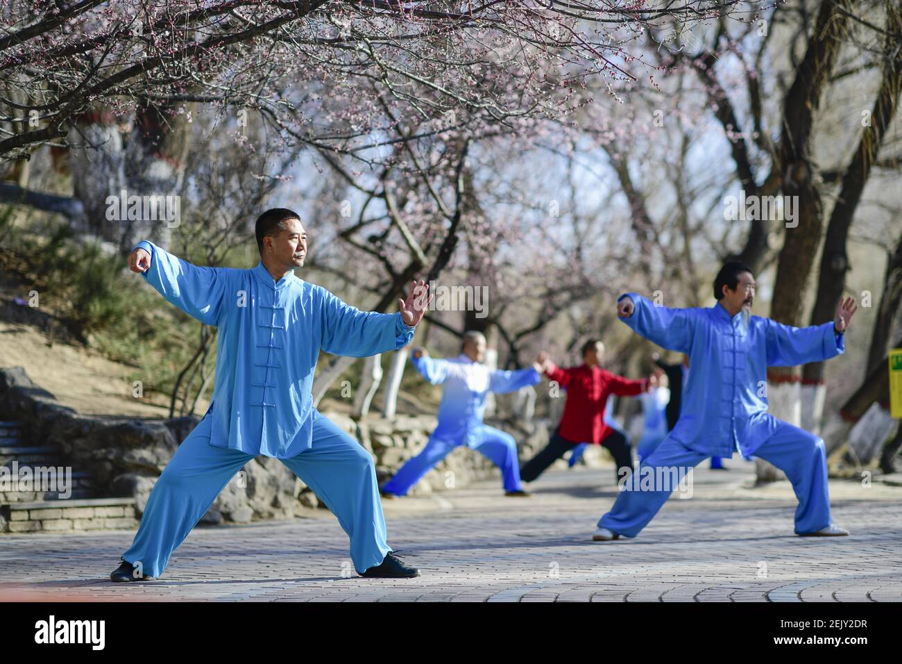 Fitness enthusiasts exercise taiji boxing in the morning under the ...