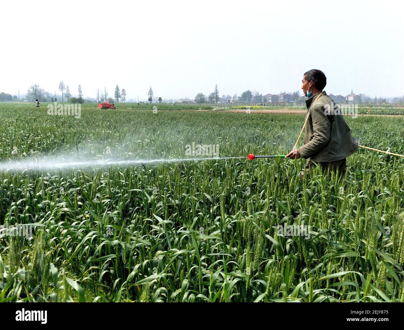 Hubeiï¼ŒCHINA-Xiaogan city, hubei province, yunmeng county, chengguan ...