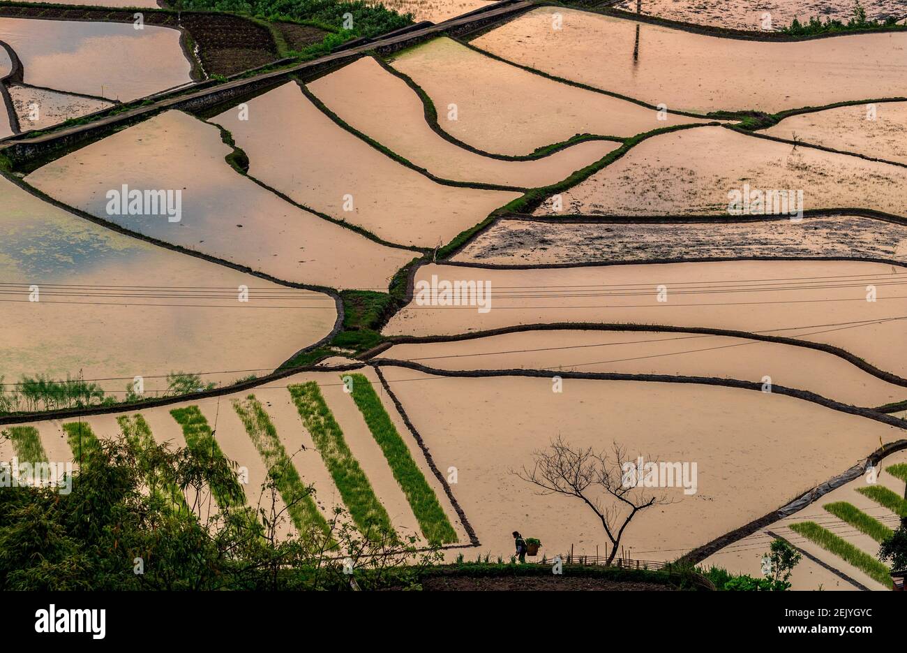 CHONGQING, CHINA - APRIL 9, 2020 - Villagers walk on a ridge in ...