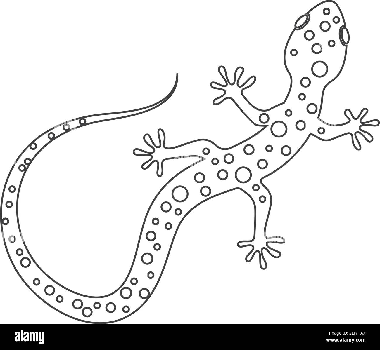Gecko Drawing Template
