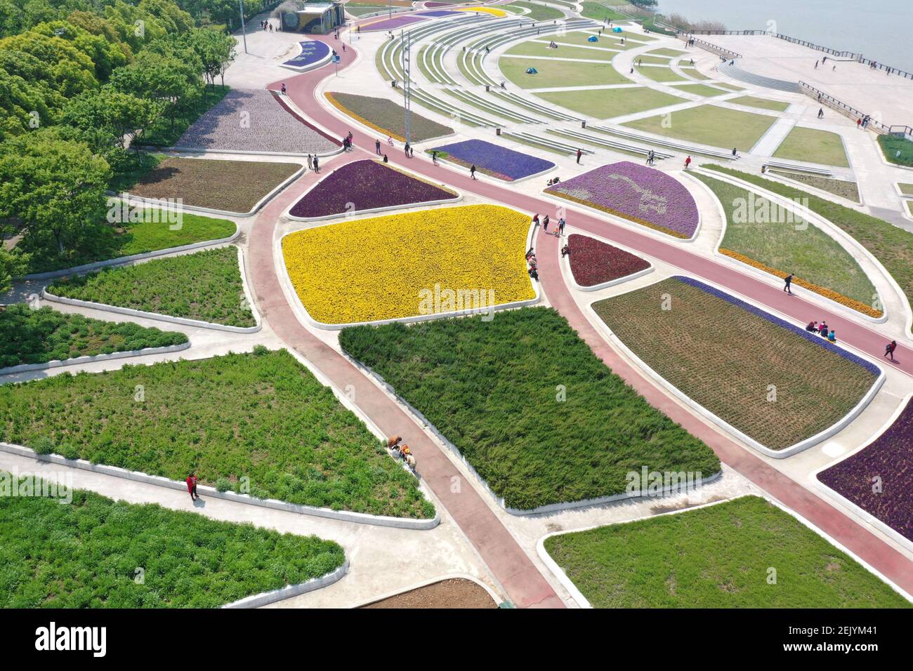 NANJING, CHINA - APRIL 12, 2020 - "Flower sea" on the left bank of ...
