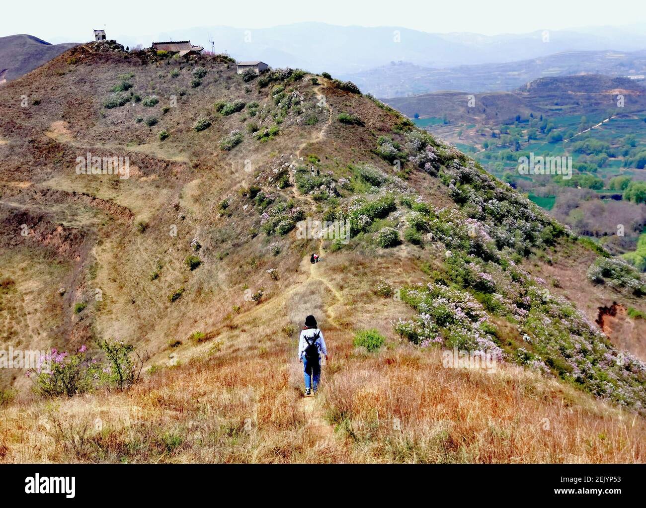 BAOJI, CHINA - APRIL 11, 2020 - Tourists watch the blooming lilac in ...