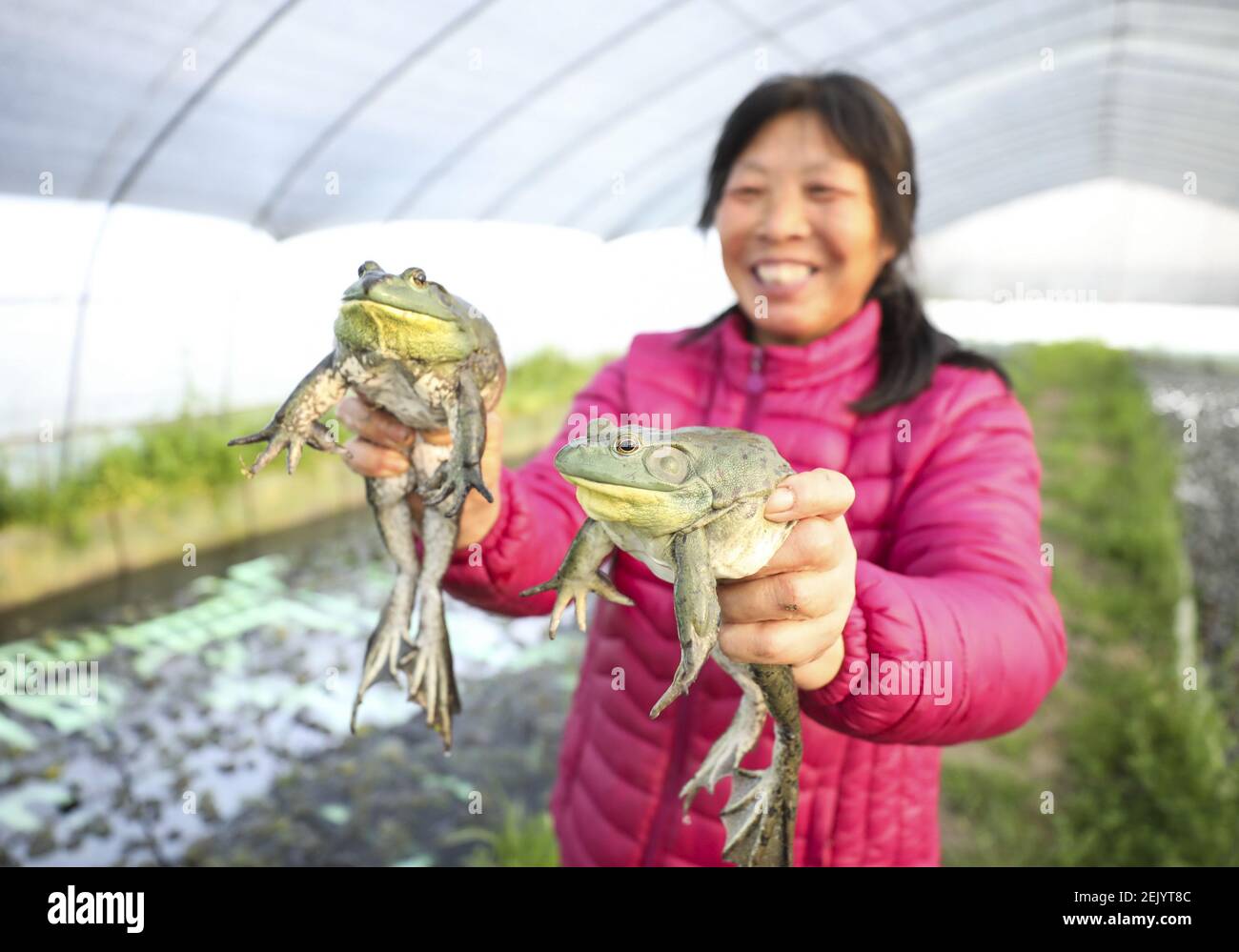 Jiangsuï¼ŒCHINA-On April 9, 2020, xinxing haorun family farm in huaian ...