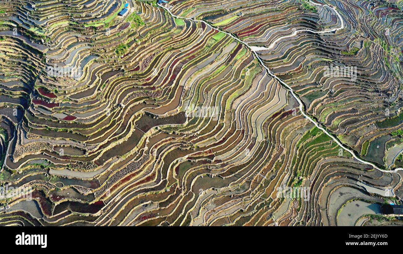 Aerial photo shows the terrace fields in Congjiang County, Qiandongnan ...