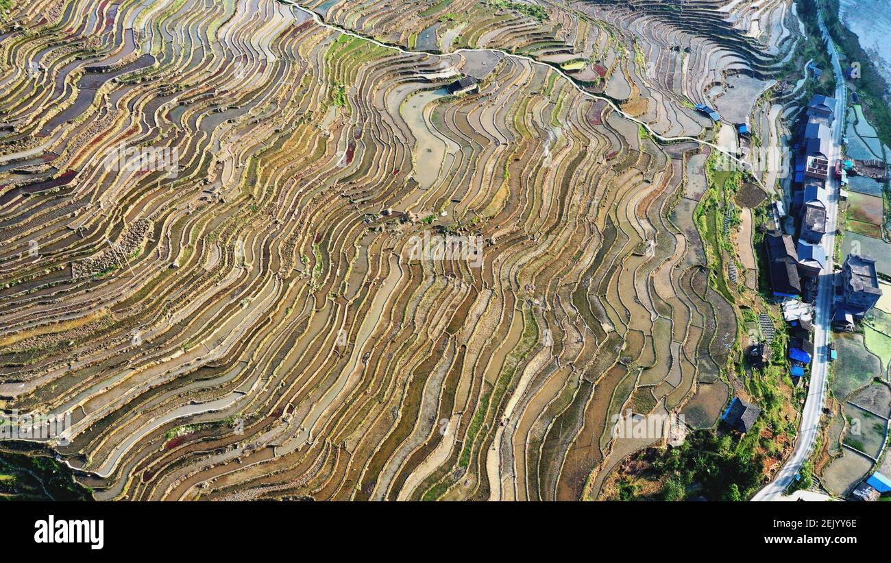 Aerial photo shows the terrace fields in Congjiang County, Qiandongnan ...