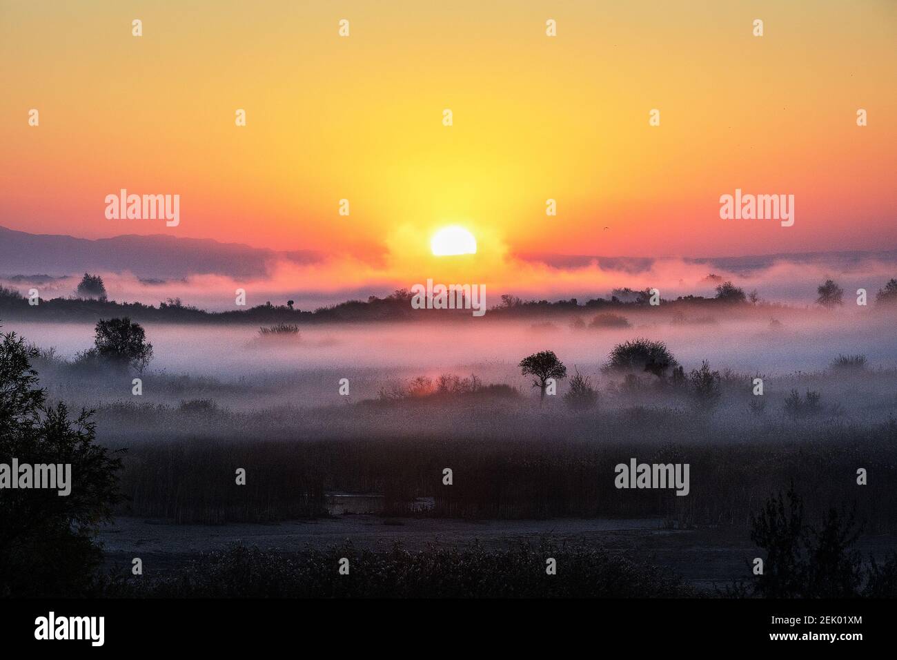 Official Dawn And Dusk Times