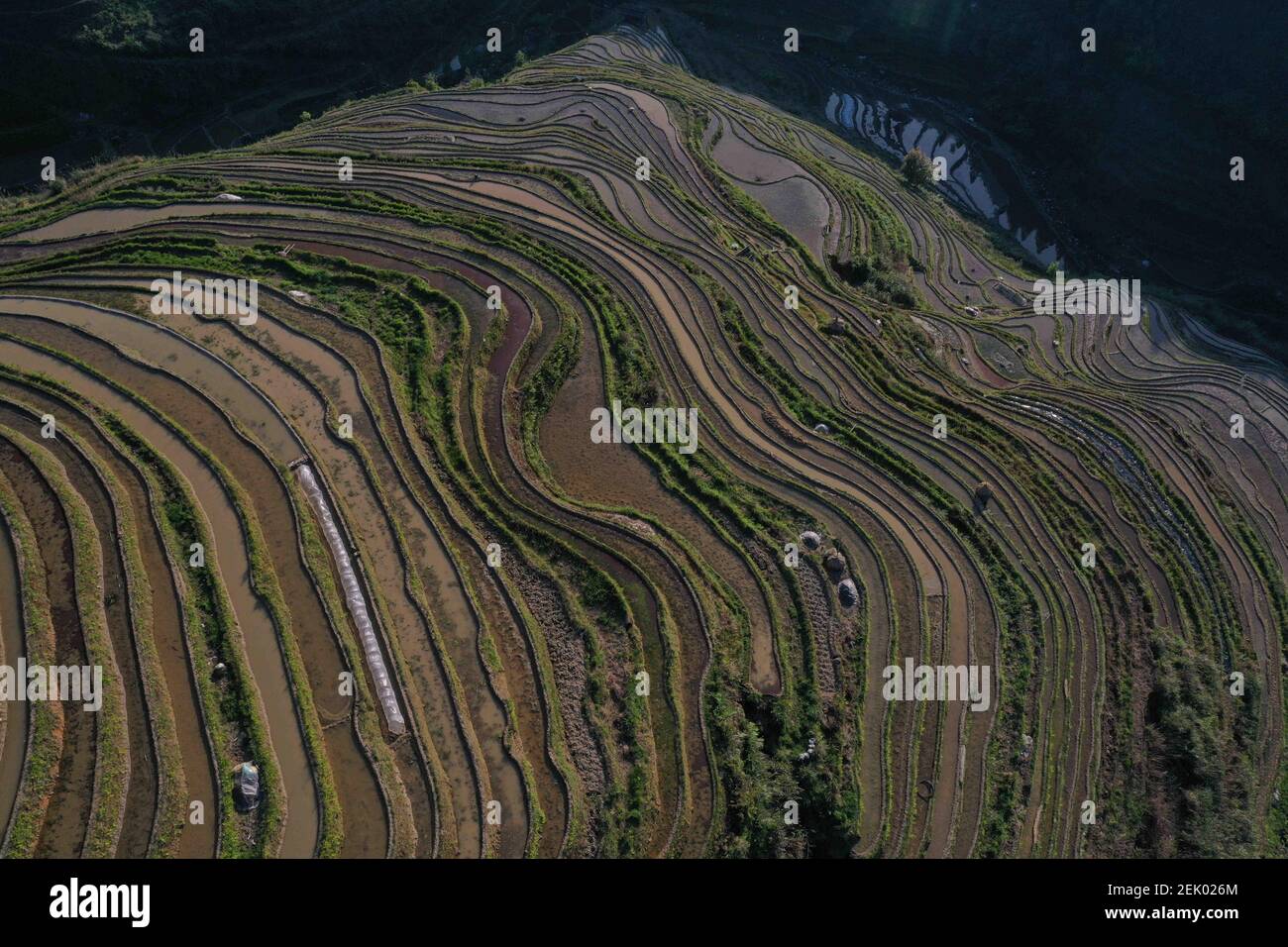 CONGJIANG, CHINA - APRIL 14, 2020 - Aerial terraces, Congjiang County ...