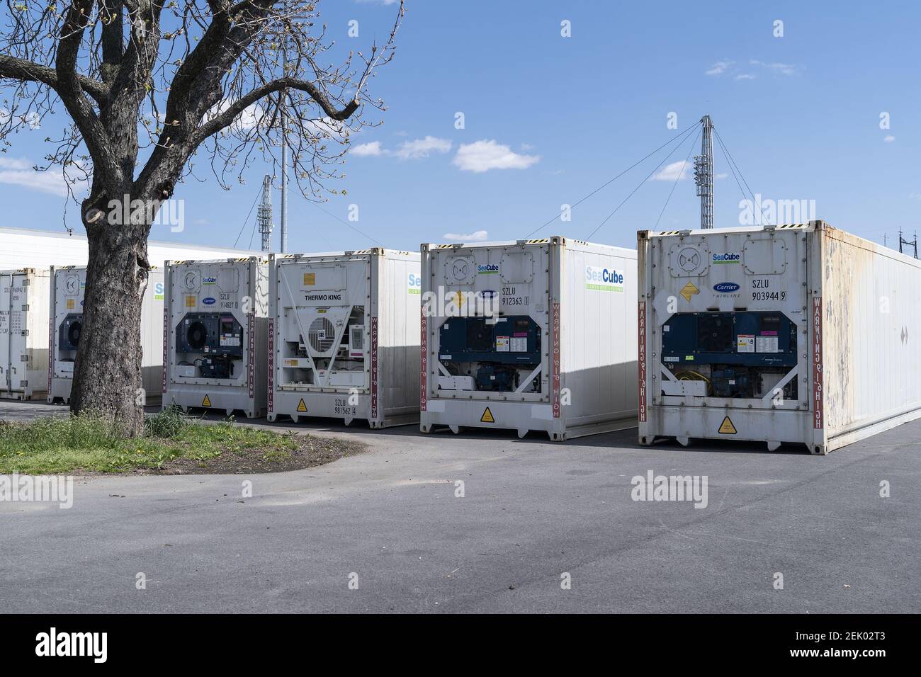 Dozens of refrigerated trucks and containers seen on Randall's Island ...