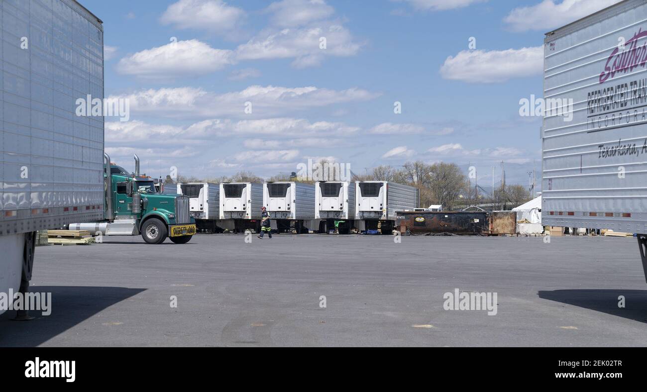 Dozens of refrigerated trucks and containers seen on Randall's Island ...