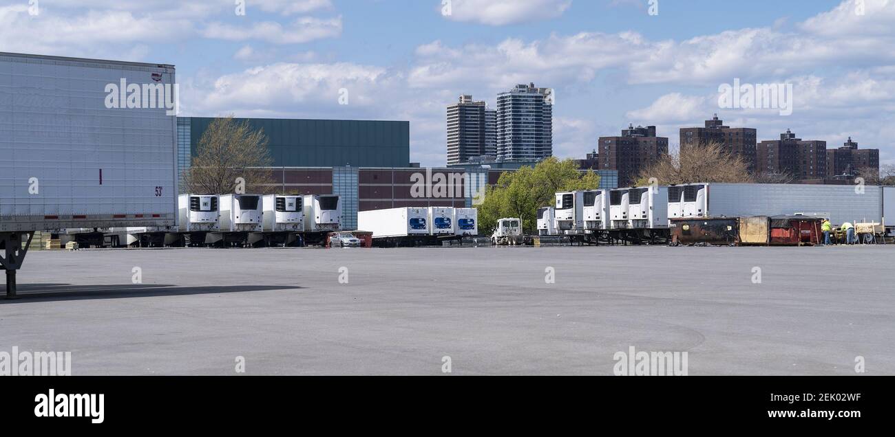 Dozens of refrigerated trucks and containers seen on Randall's Island ...