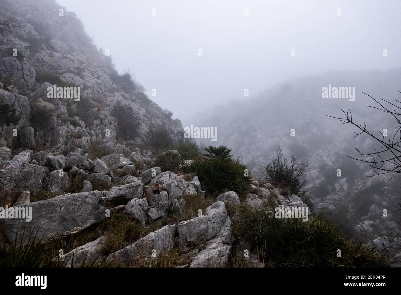 Foggy terrain texture hi-res stock photography and images - Alamy