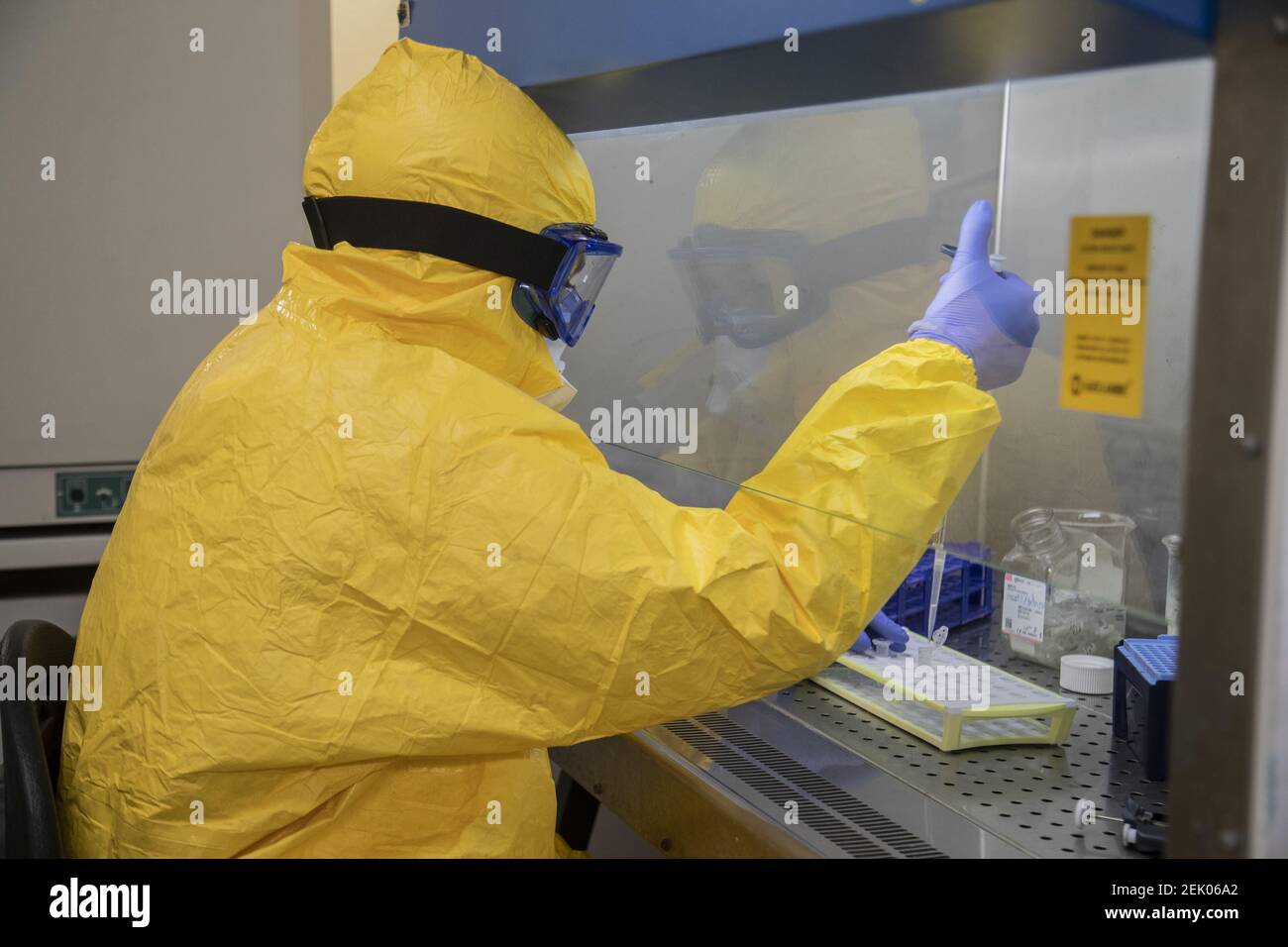 A medical worker at the chemical analysis laboratory of the scientific ...