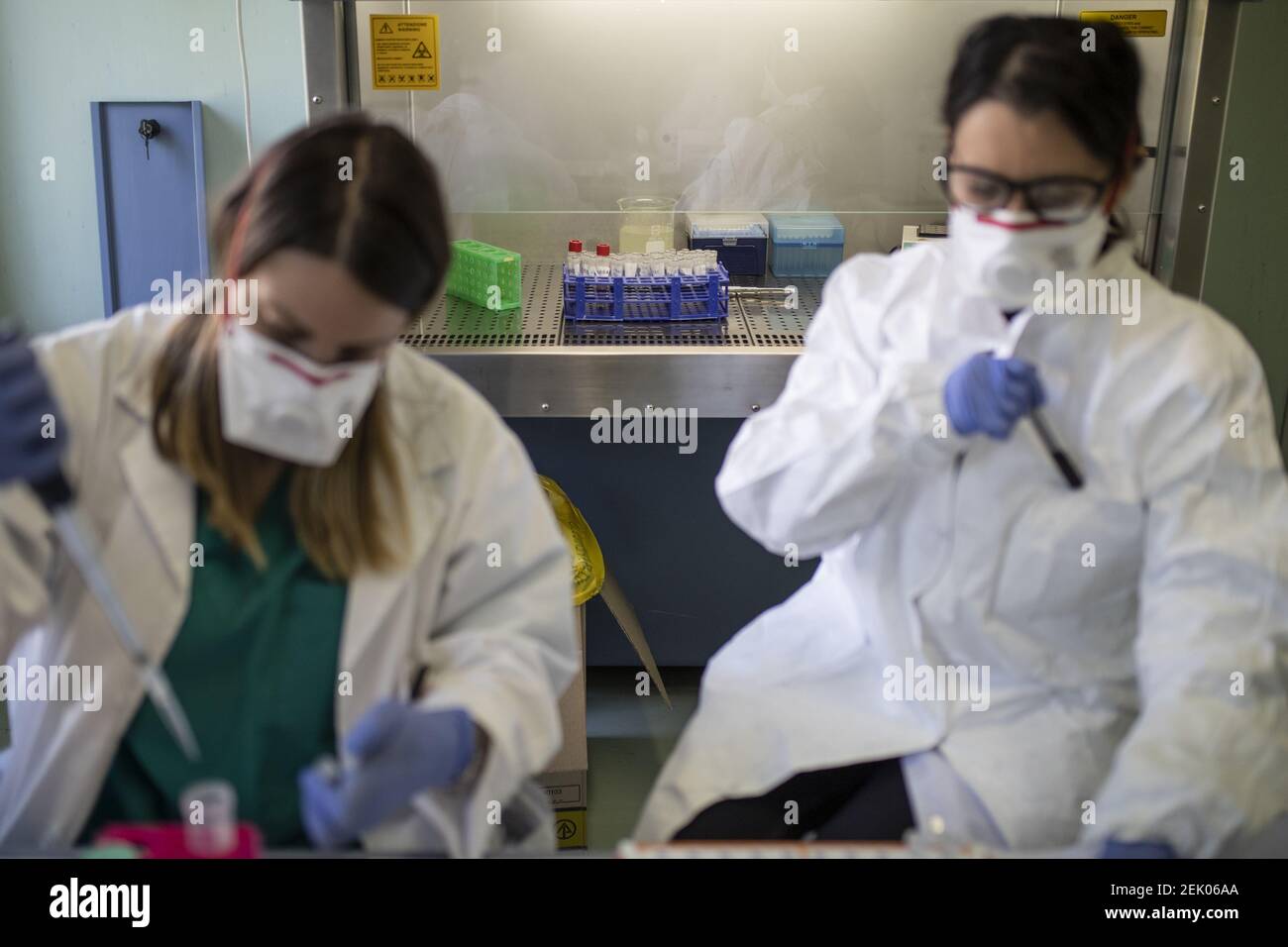 Medical staff work at the chemical analysis laboratory of the ...
