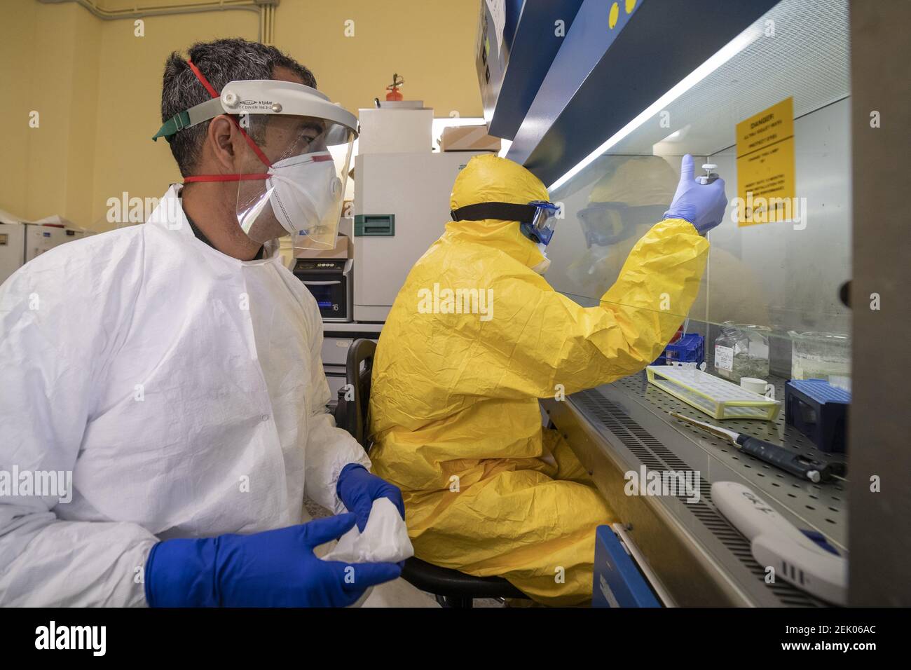 Medical staff work at the chemical analysis laboratory of the ...