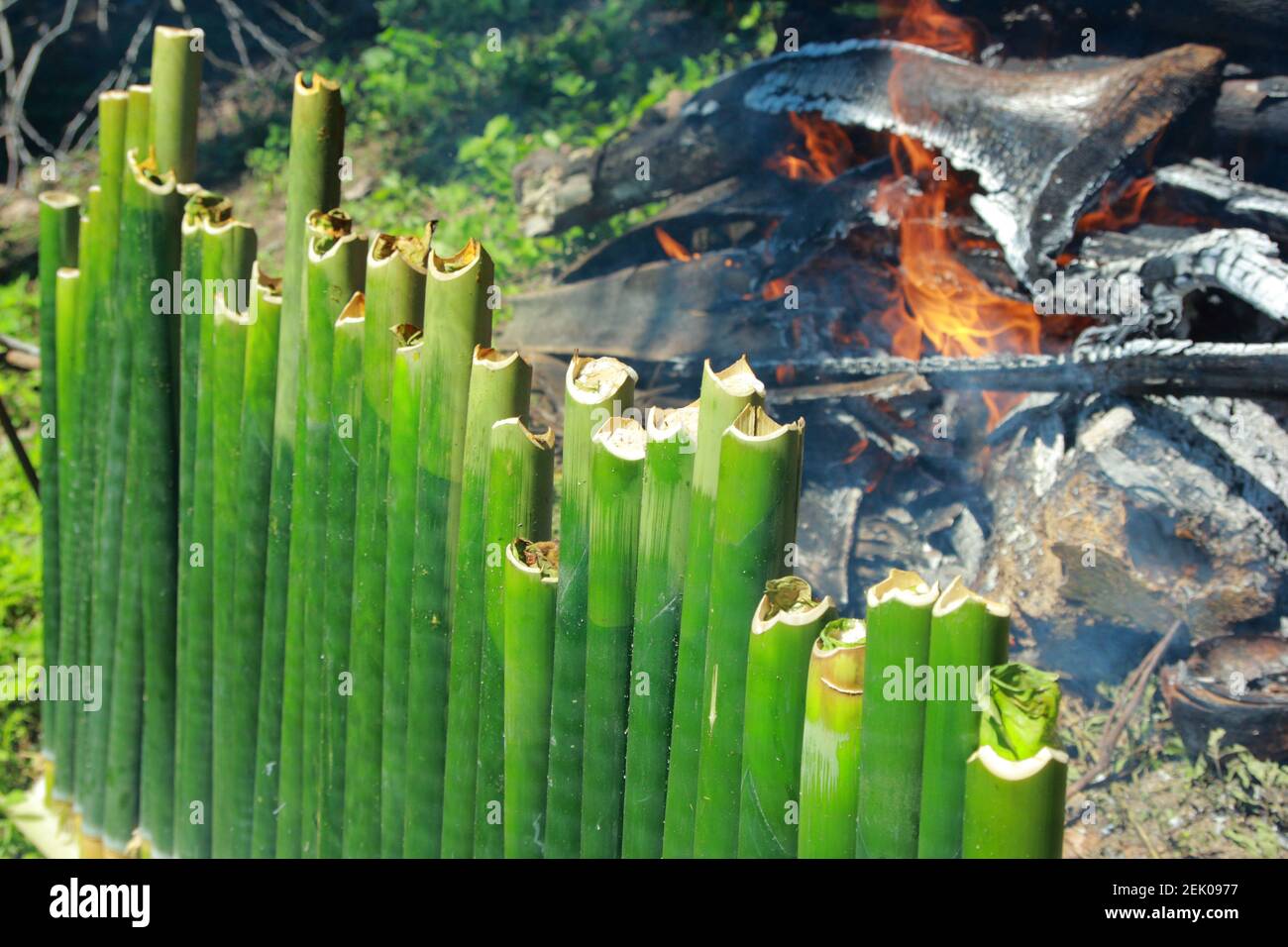 Bamboo sticks to make lemang during the holy month of Ramadan ...