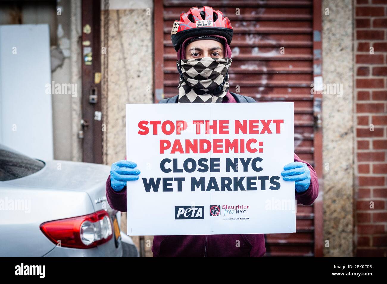 Urging the closure of live-animal markets to cut off the source of ...