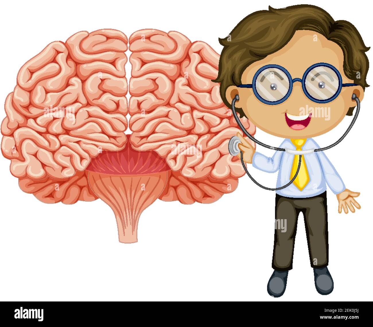 Big brain with a doctor cartoon character illustration Stock Vector ...