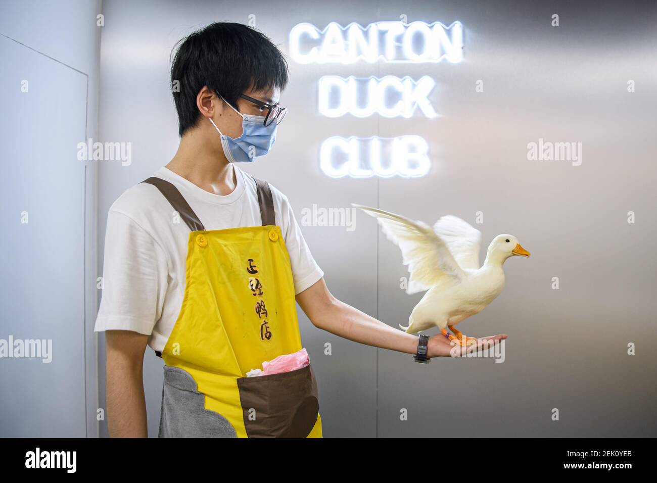 A staff holds a cole duck in a cole duck experience store in Guangzhou ...