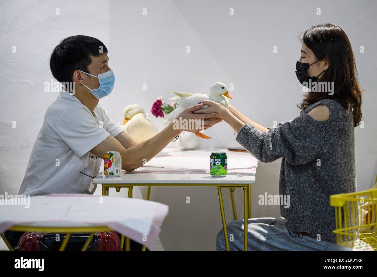 People play with cole ducks in a cole duck experience store in ...