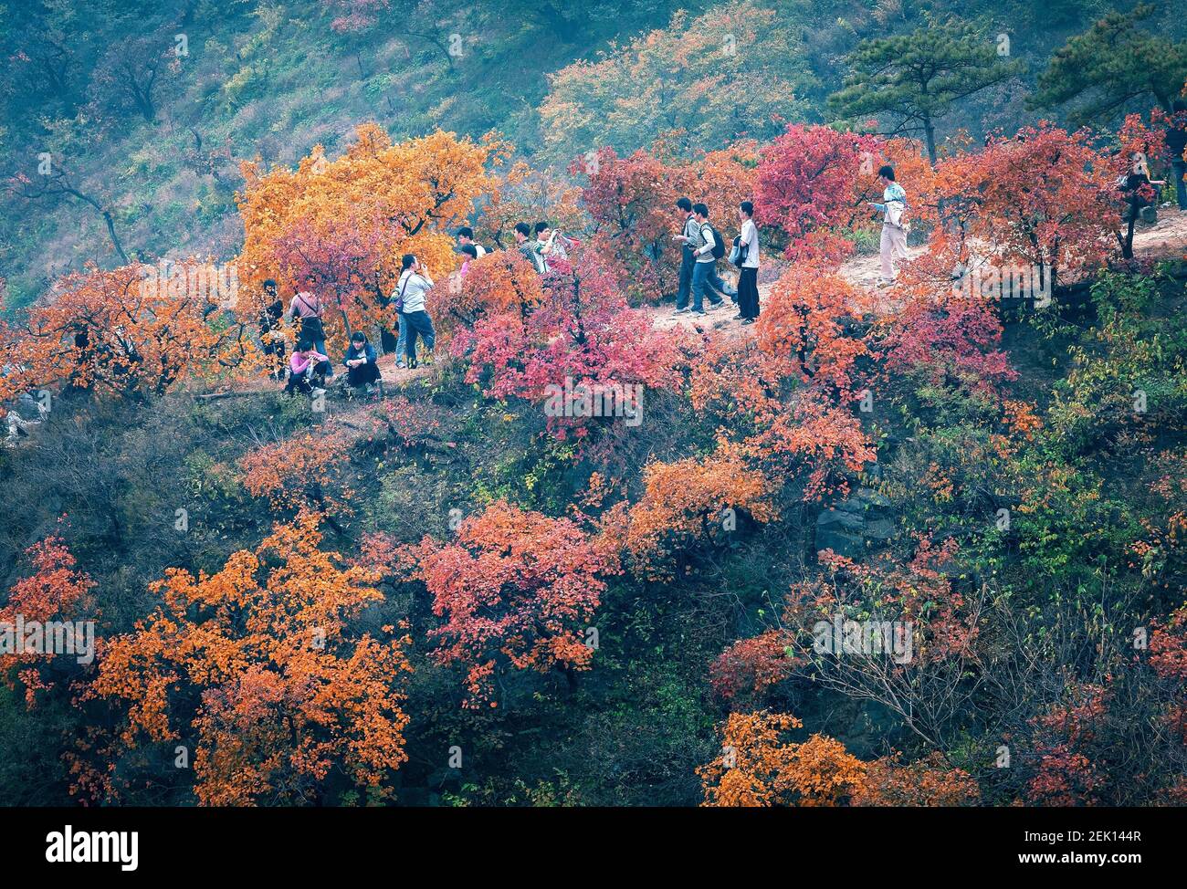 Beijingï¼ŒCHINA-On April 28, 2020, in Beijing, a photographer spent 10 ...