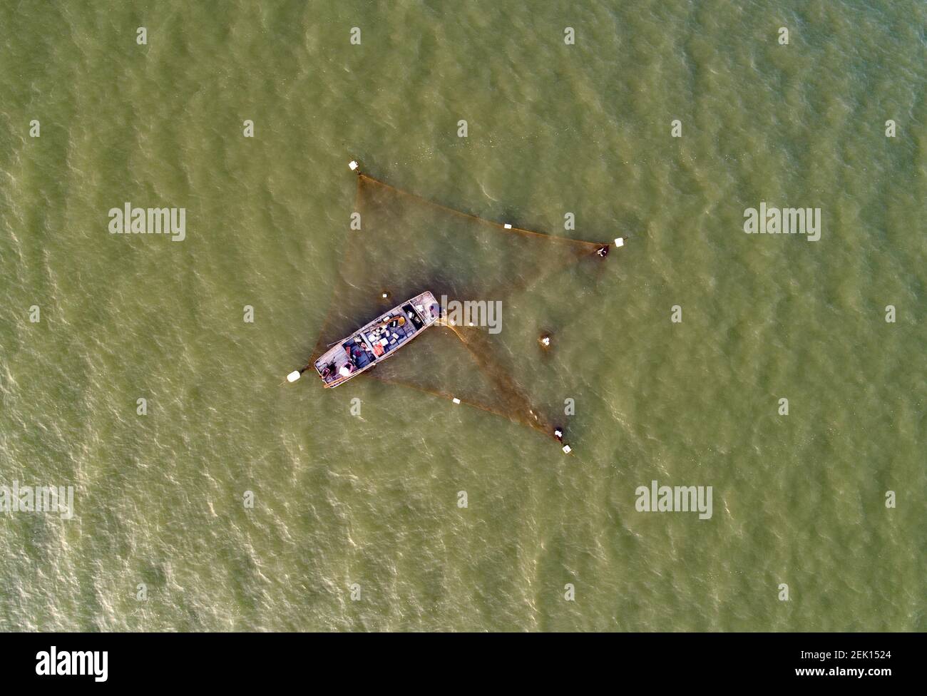 SUQIAN, CHINA - APRIL 28, 2020 - Farmers arranged net cages on Luoma ...